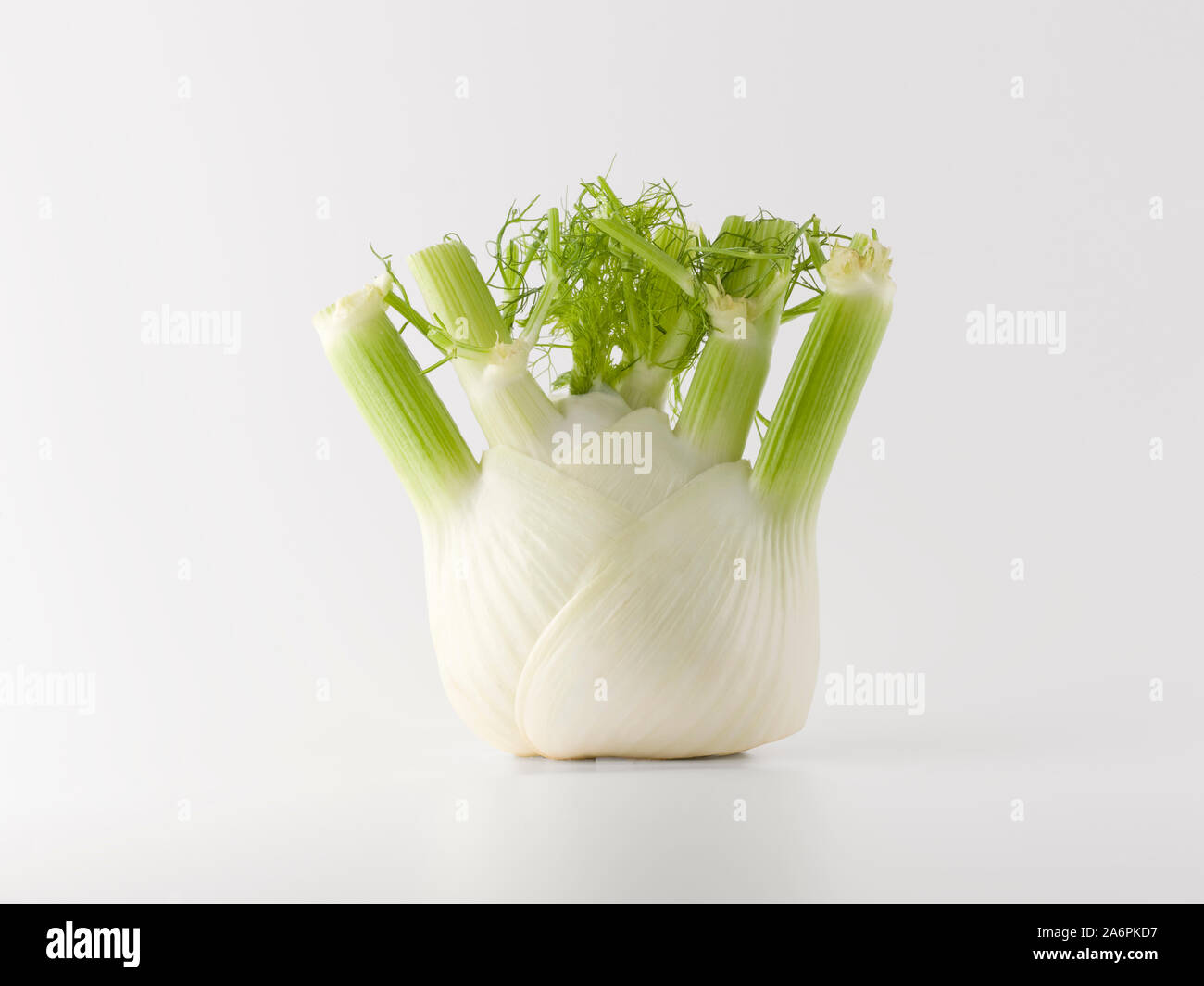 Grey fennel hi-res stock photography and images - Alamy