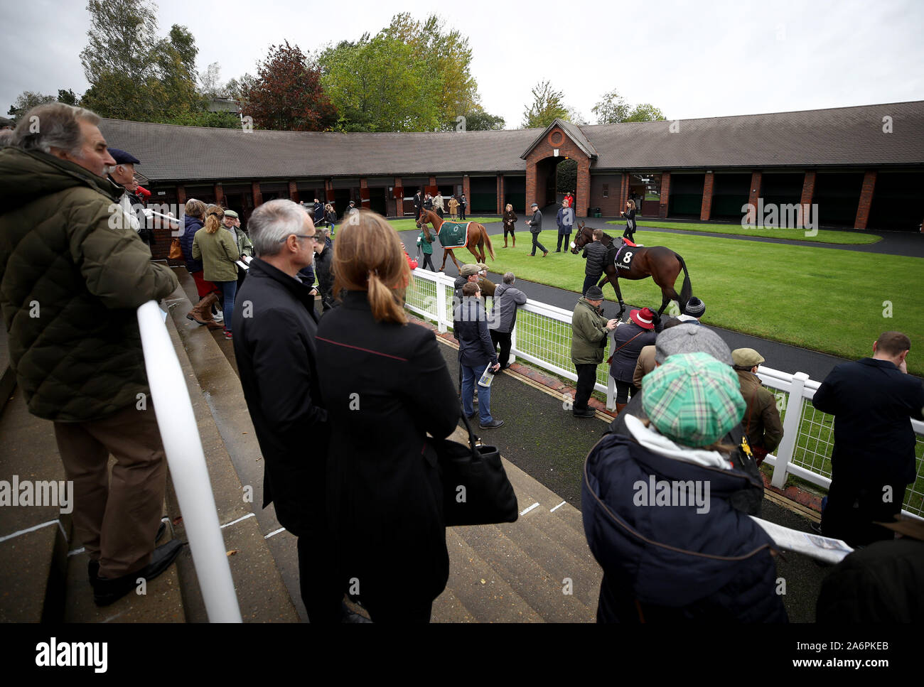 Pre parade ring hi-res stock photography and images - Alamy