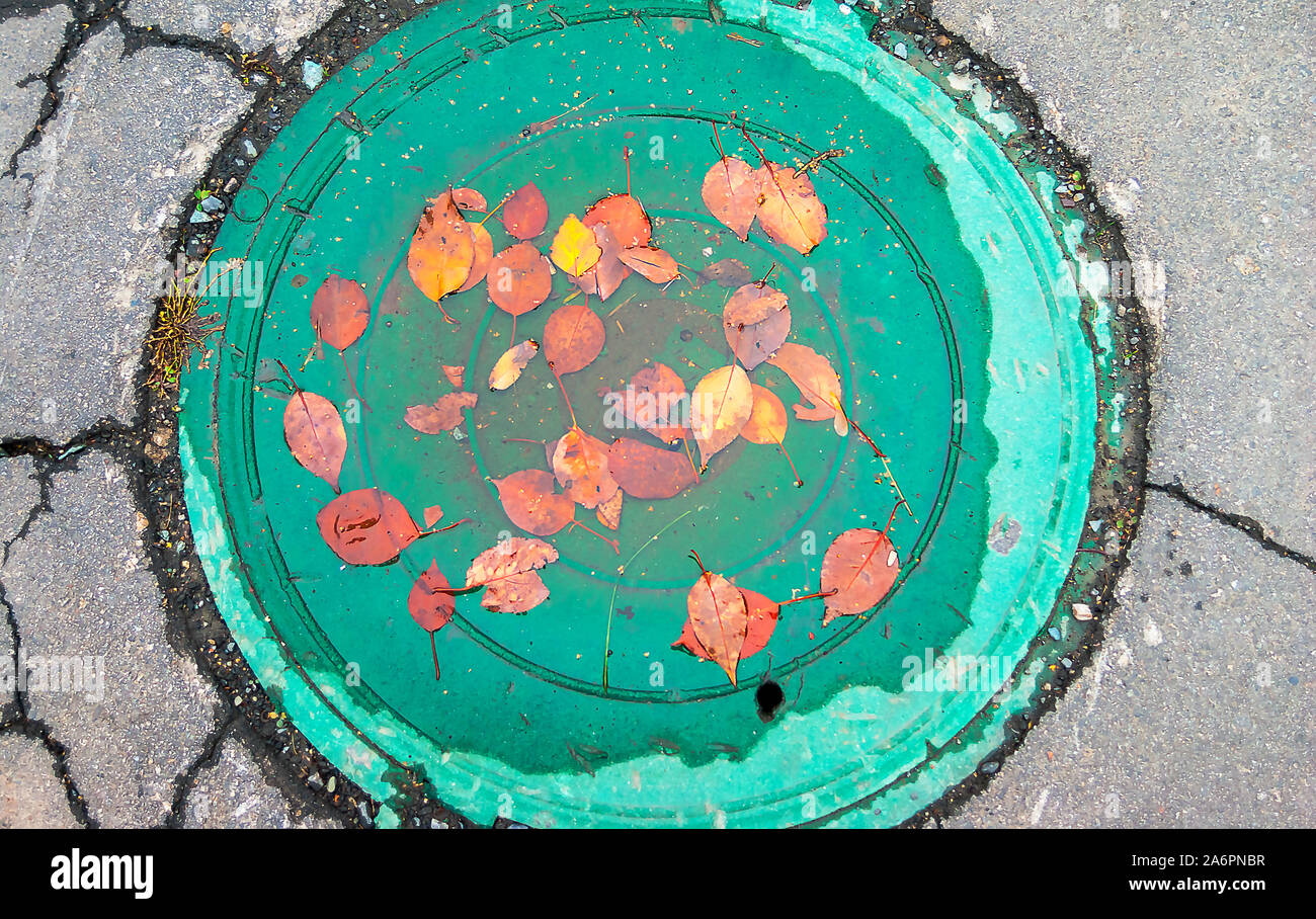 Manhole cover green grass hi-res stock photography and images - Alamy