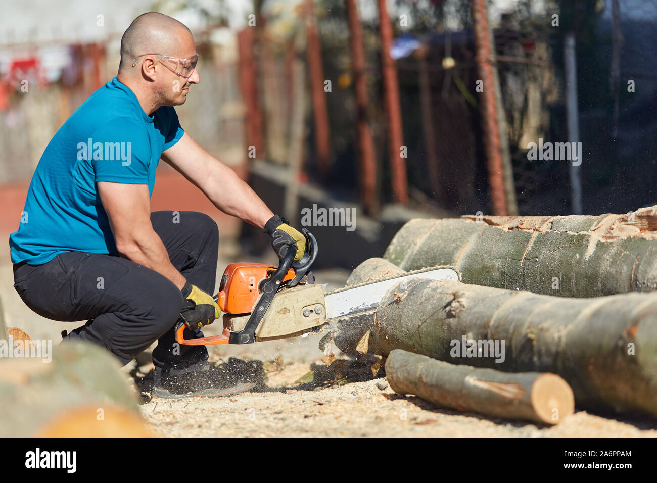 Strong lumberjack with chainsaw, working on beech logs Stock Photo - Alamy