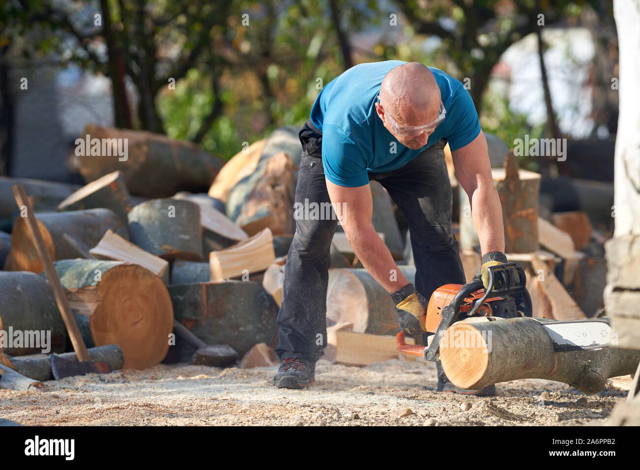 Strong lumberjack with chainsaw, working on beech logs Stock Photo - Alamy