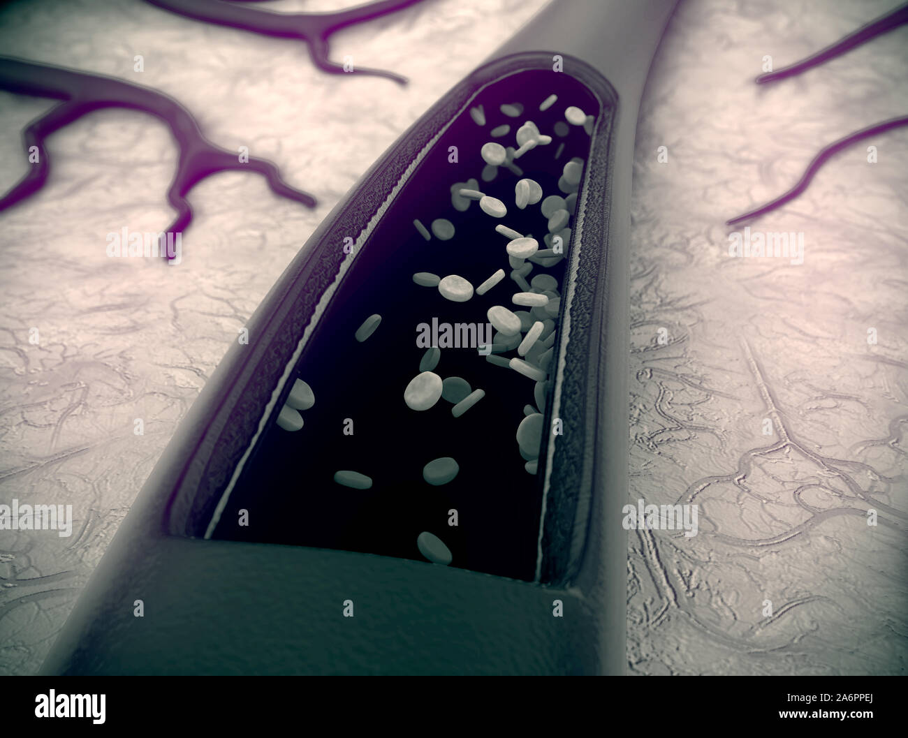 artery shown with a cut out section, High quality rendering with ...