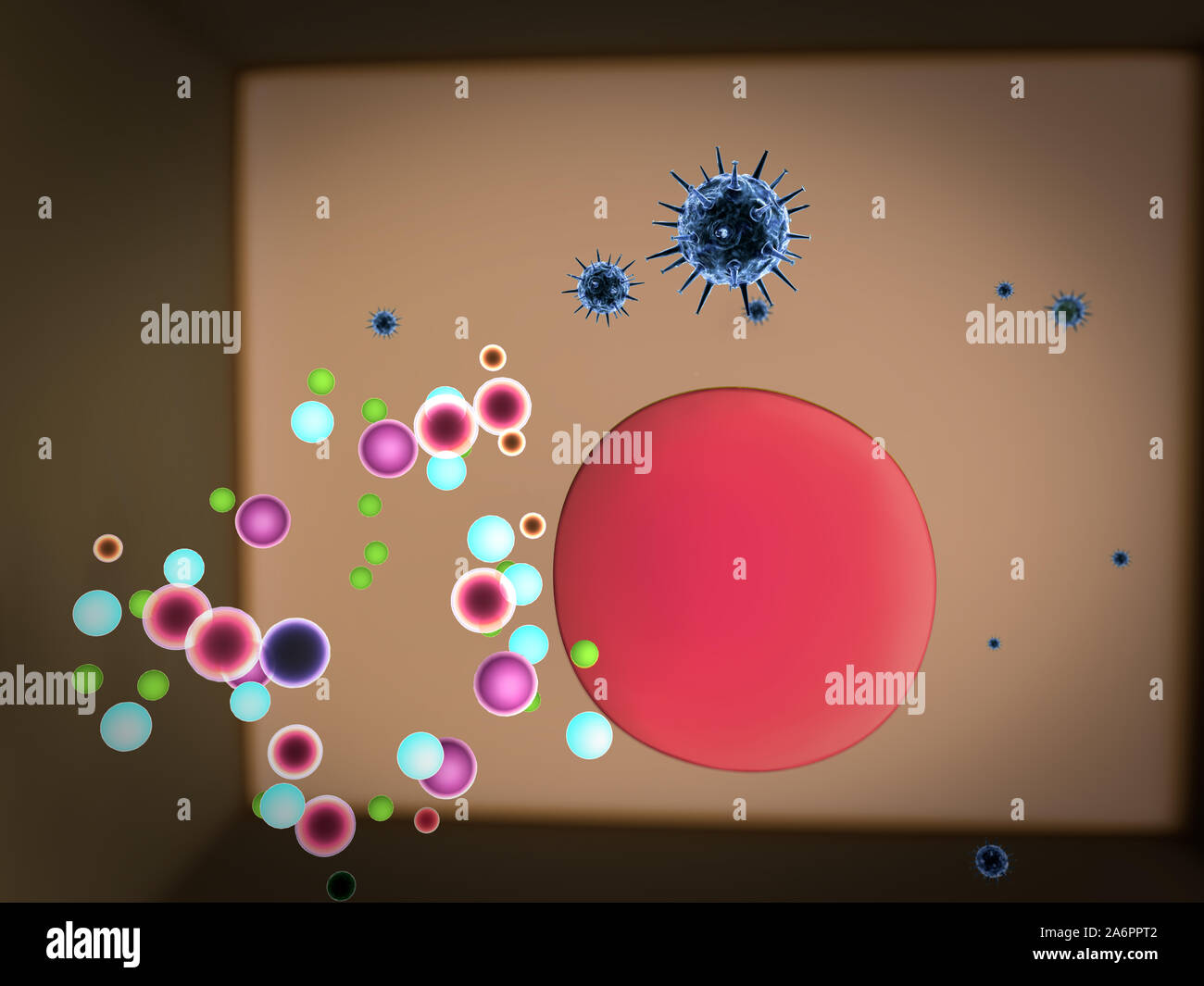 virus inside the cell, virus replication in the liver cell, viruses ...