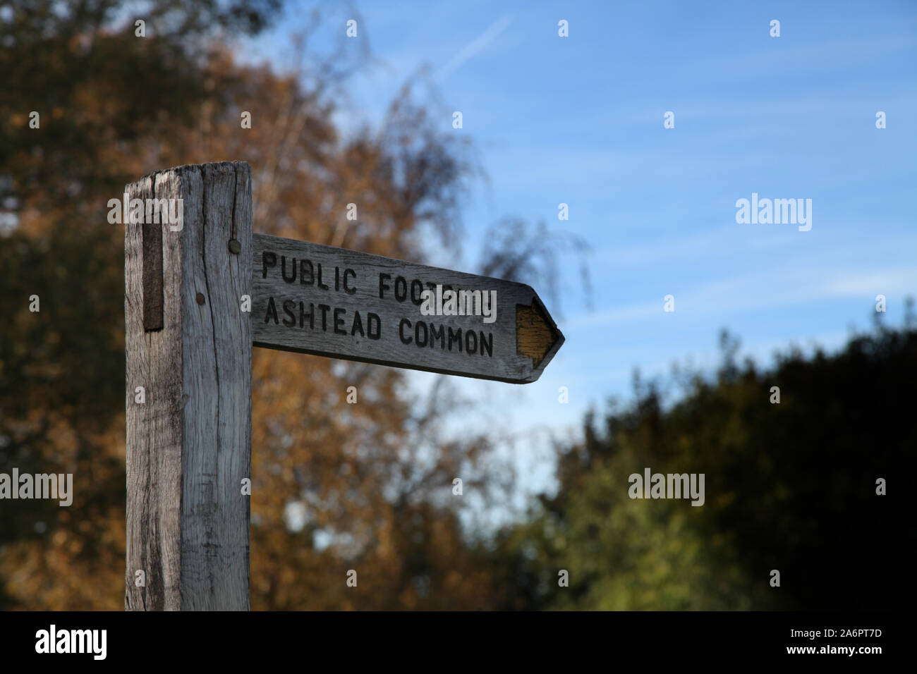 Walking on ashtead common hi-res stock photography and images - Alamy