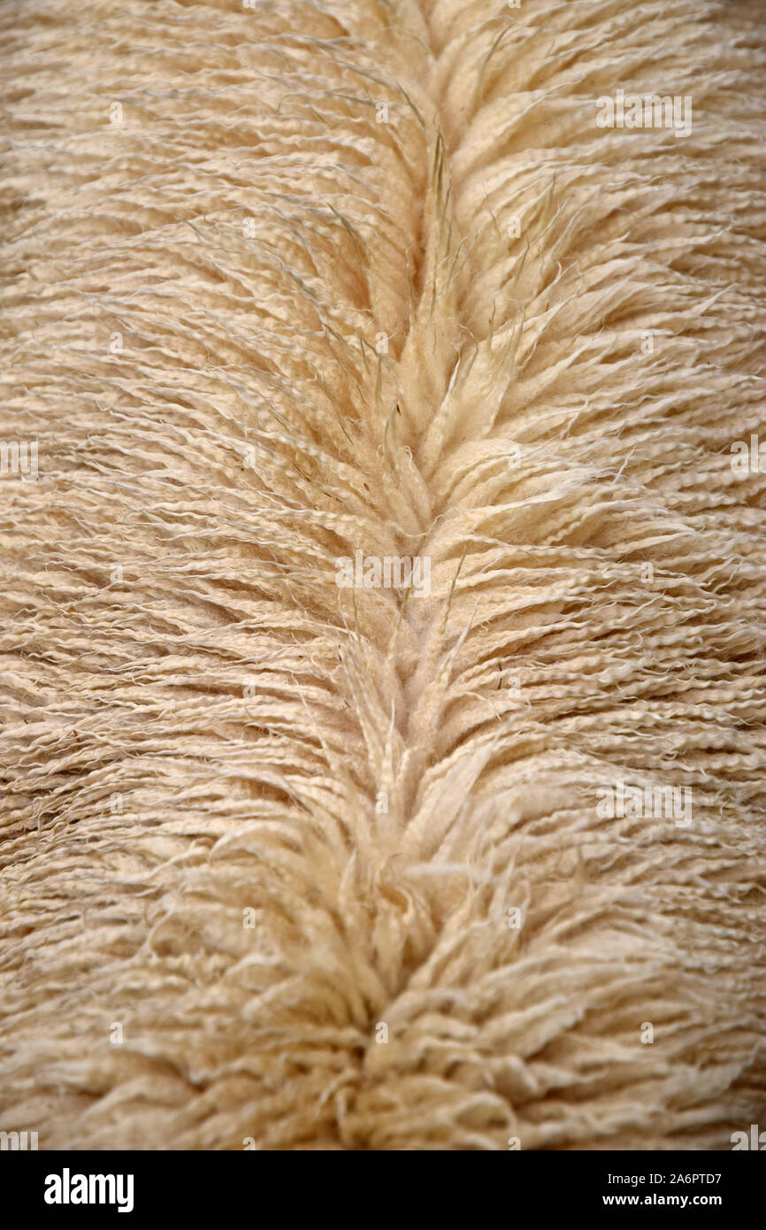 Full coat sheep hi-res stock photography and images - Alamy
