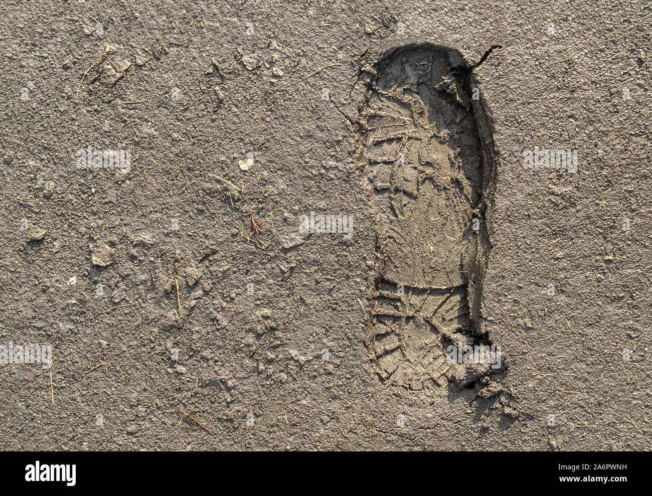 footprint in the mud Stock Photo - Alamy