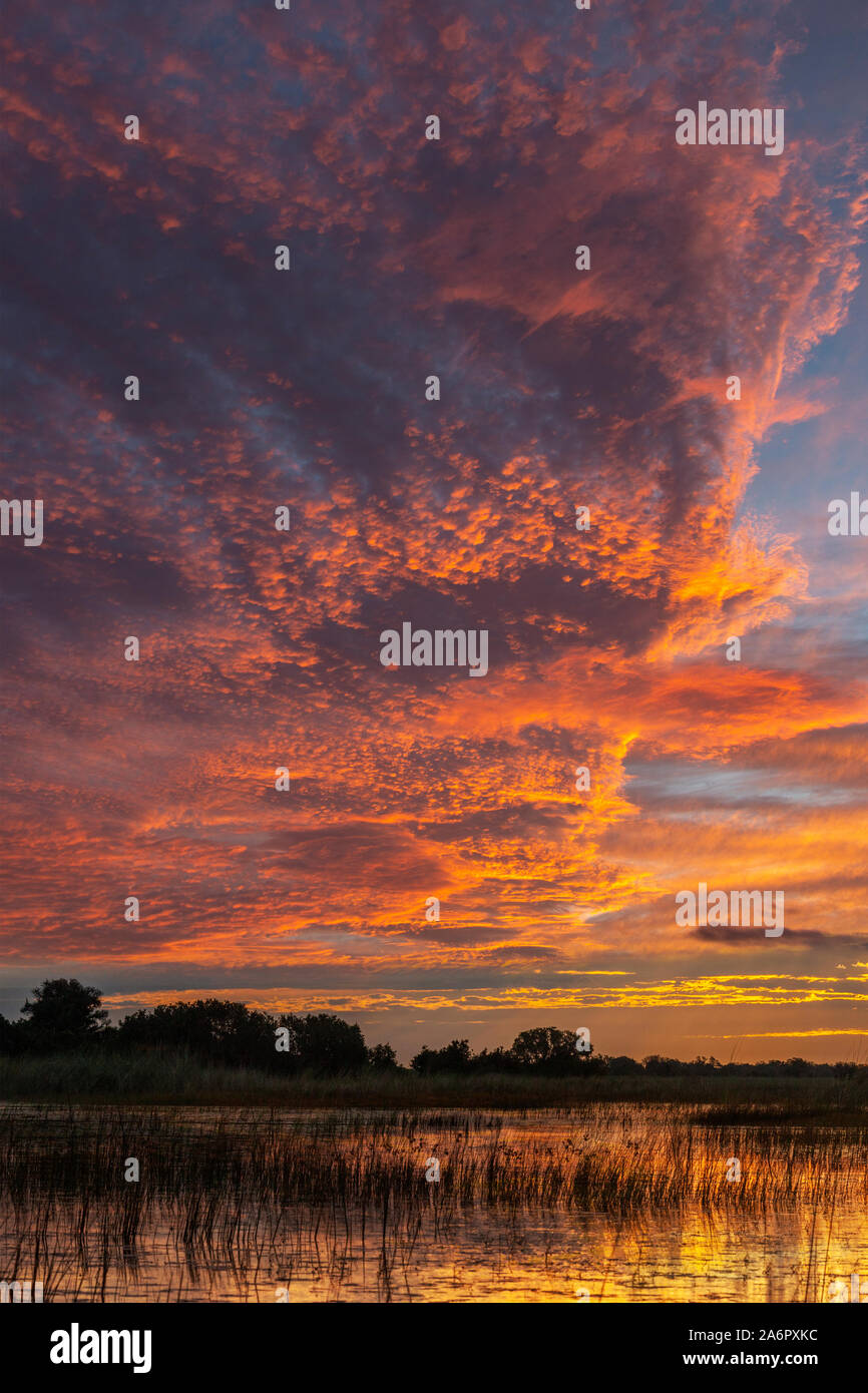 Dramatic sunset in the wetlands of the Okavango Delta in northern ...
