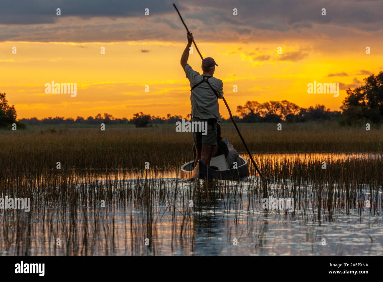 A safari guide with a tourist in a Makoro (dugout canoe) at sunset in ...