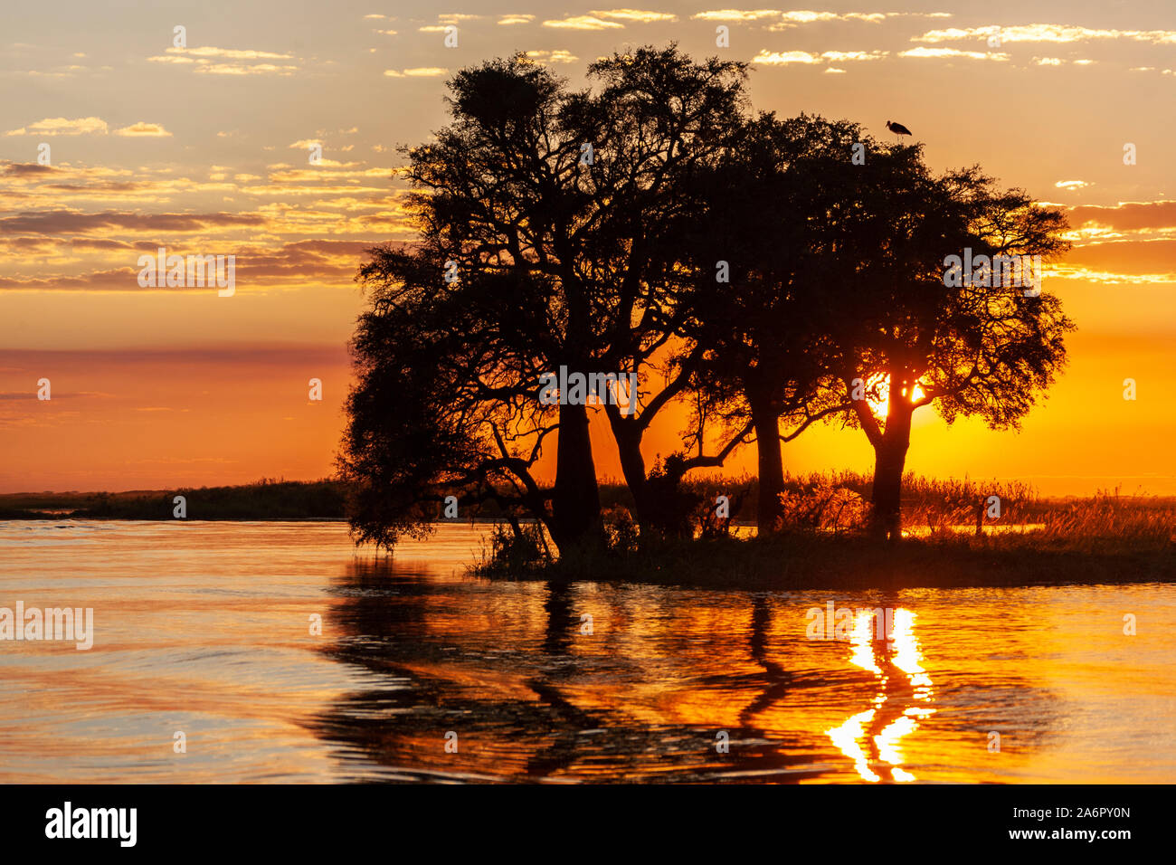 Sunset over the Chobe River in Chobe National Park in northern Botswana ...