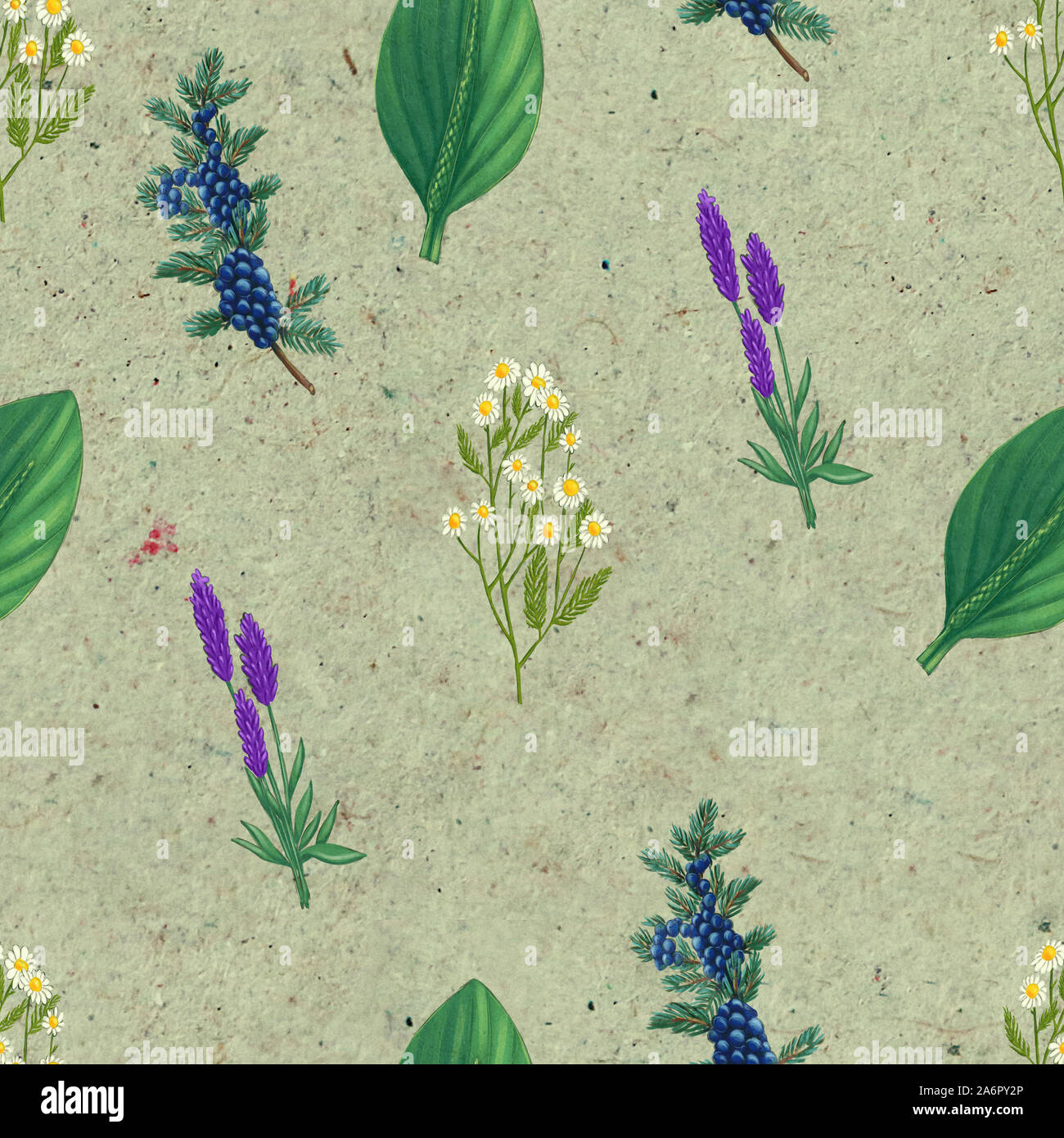 Hand drawn medicinal plant seamless pattern. Healing herbs drawing on ...