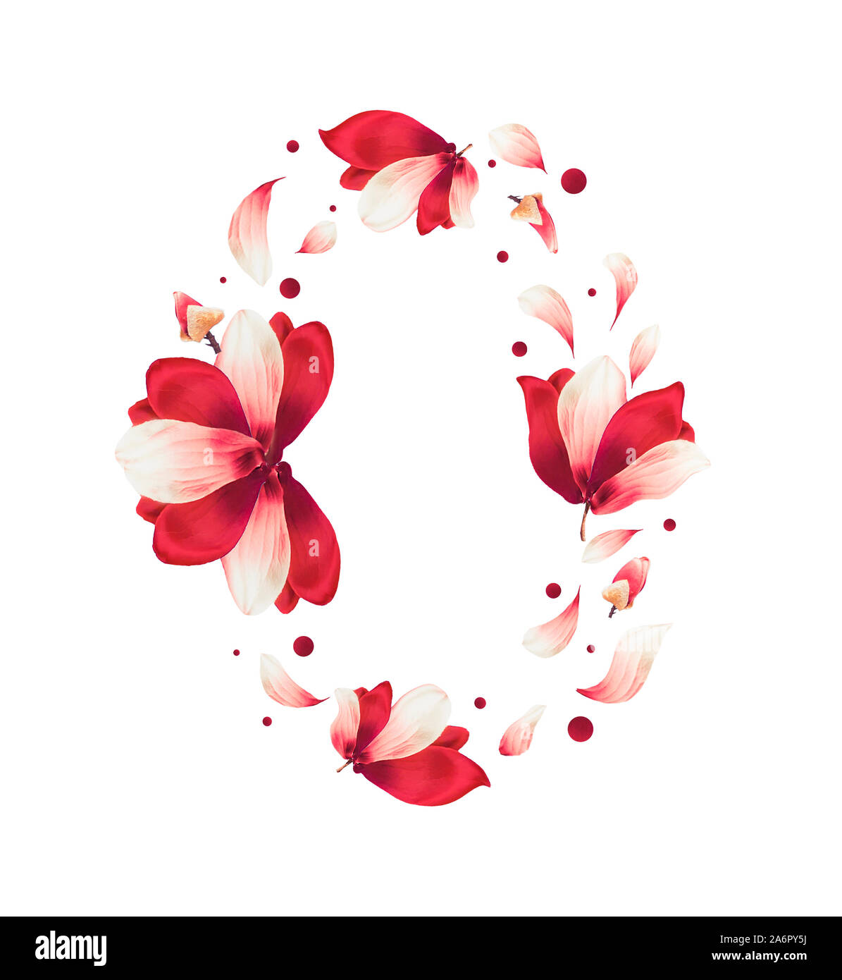Beautiful red flowers and petals circle frame, isolated on white ...