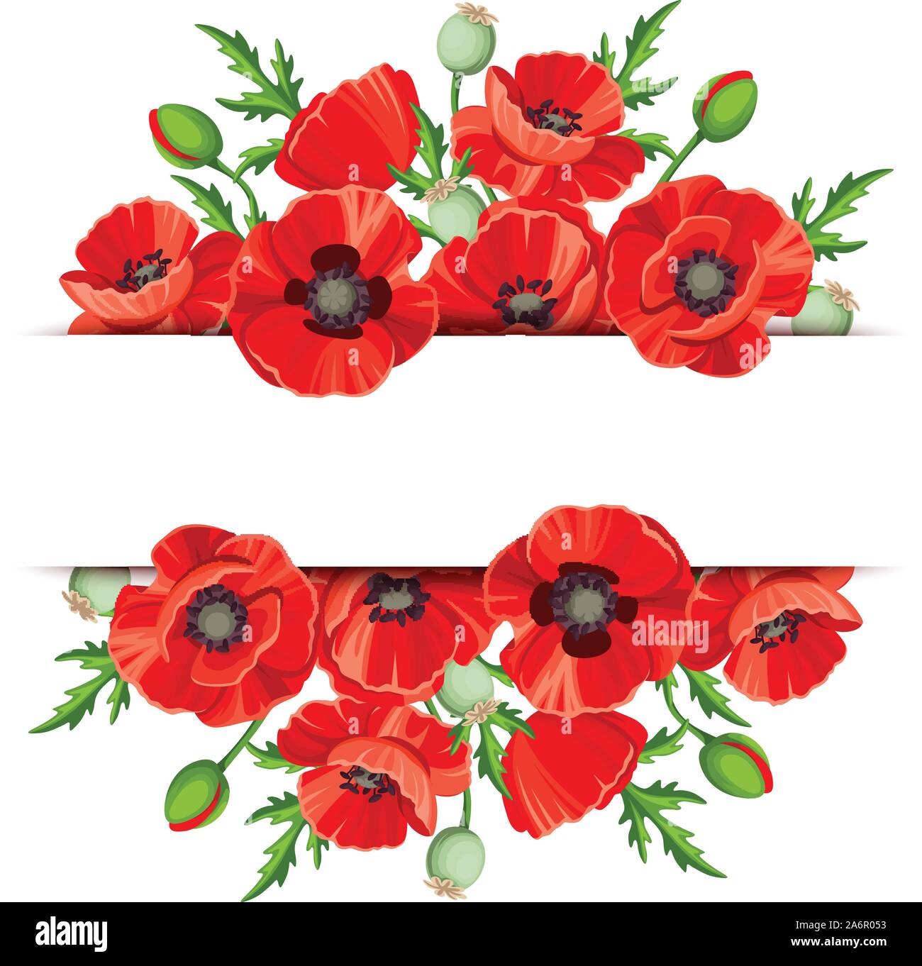 Vector background banner with red poppies Stock Vector Image & Art - Alamy