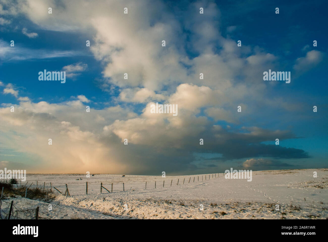 blue skies after the snow storm Stock Photo - Alamy