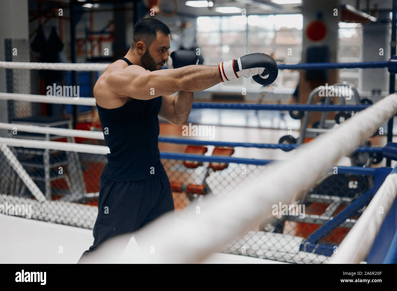 Boxing knockout punch close up hi-res stock photography and images - Alamy