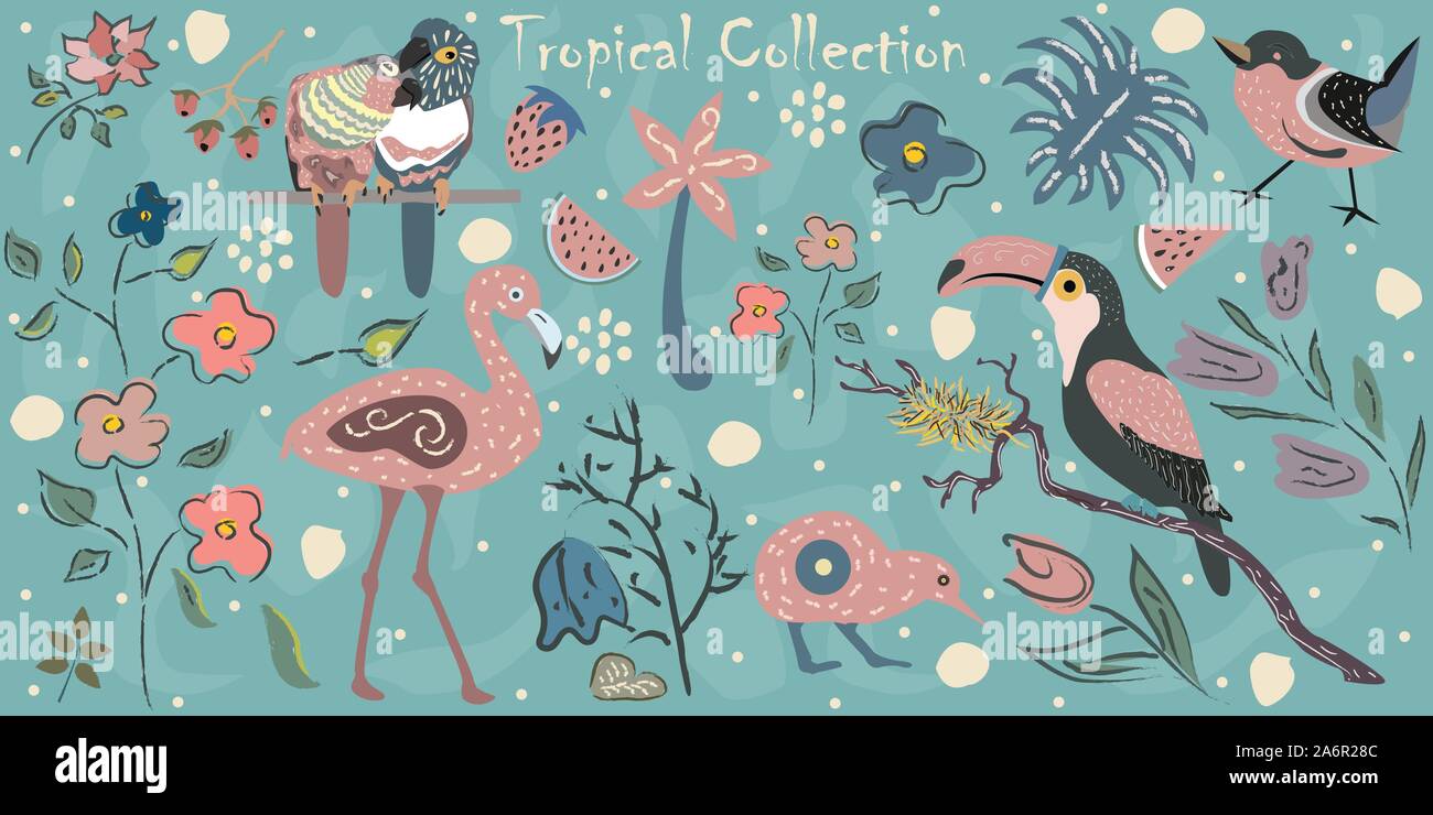 Big Tropical Collection with exotic birds. Flamingo, Parrots, toucan ...