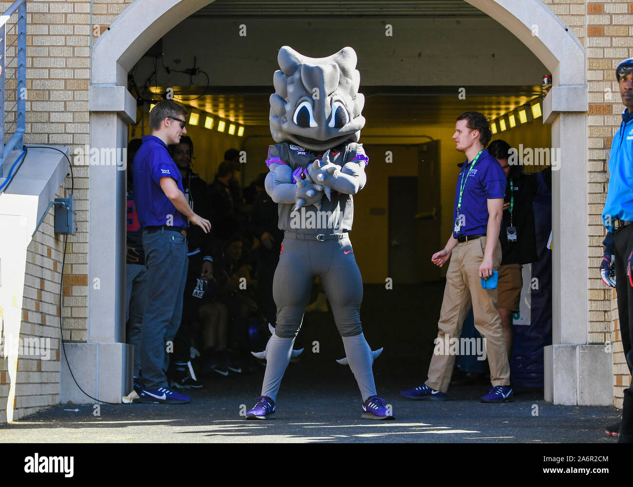 Superfrog hi-res stock photography and images - Alamy