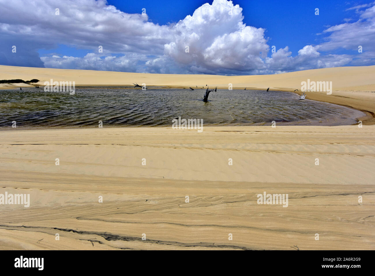 South America, Brazil, Lençóis Maranhenses Stock Photo - Alamy