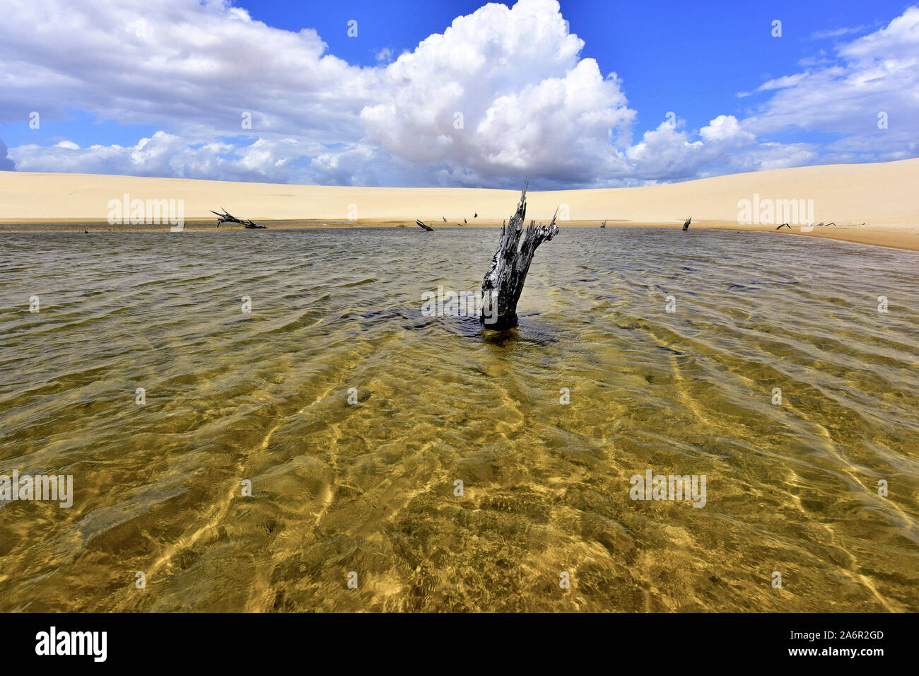 South America, Brazil, Lençóis Maranhenses Stock Photo - Alamy