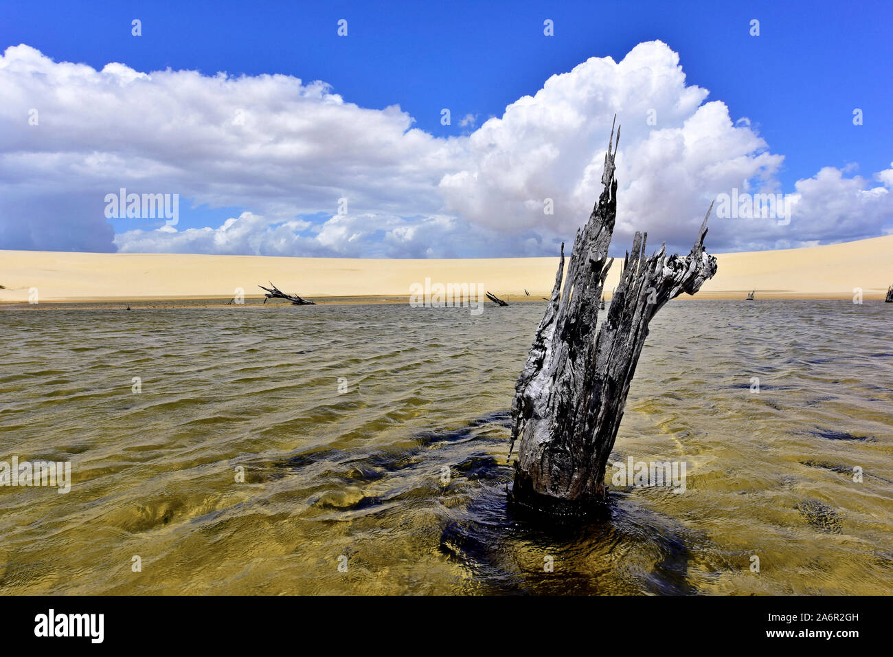 South America, Brazil, Lençóis Maranhenses Stock Photo - Alamy