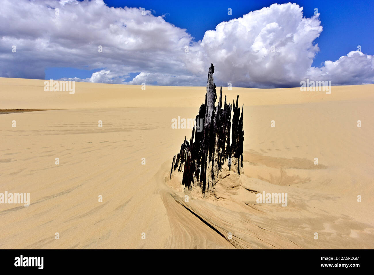South America, Brazil, Lençóis Maranhenses Stock Photo - Alamy