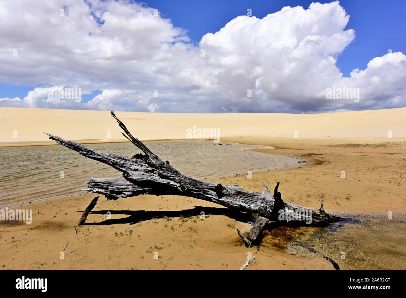 South America, Brazil, Lençóis Maranhenses Stock Photo - Alamy