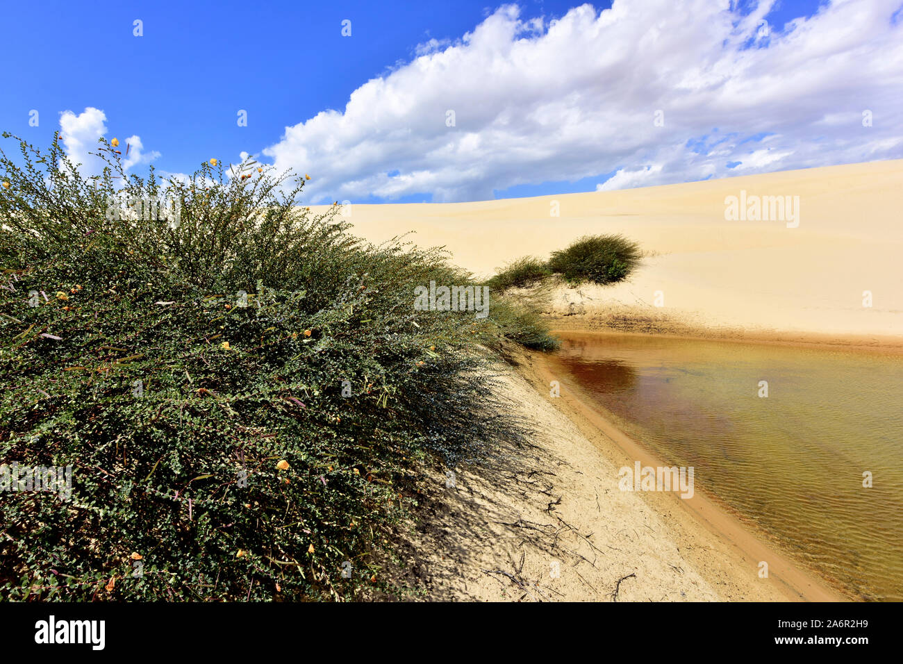 South America, Brazil, Lençóis Maranhenses Stock Photo - Alamy