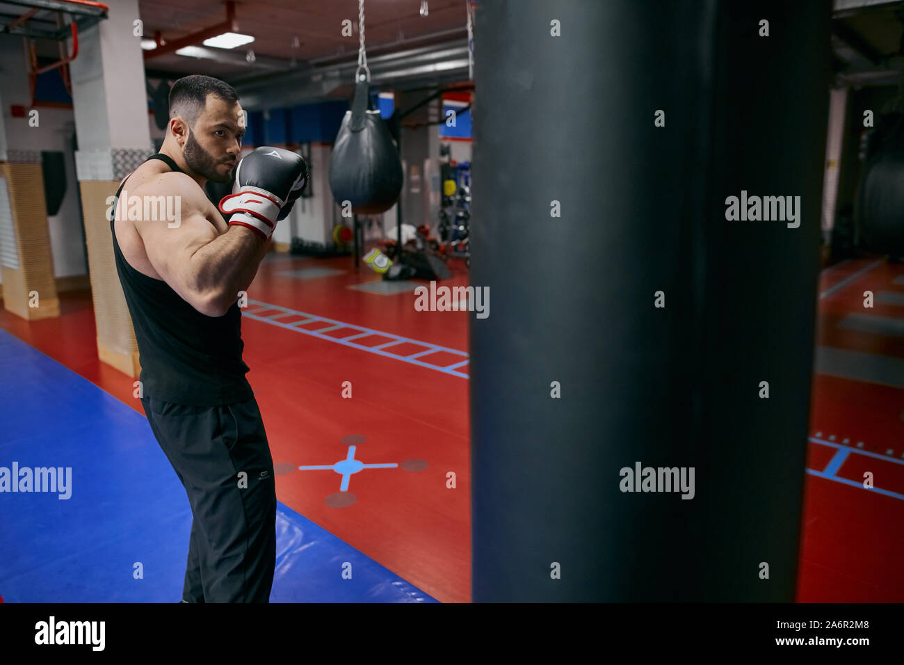 young pleasant man working out, standing in defense position at sport ...