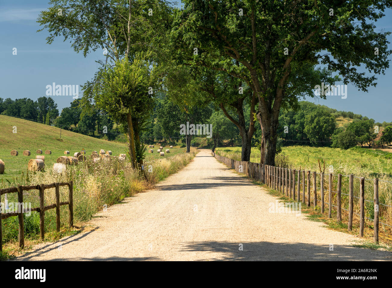 Rural landscape near Velletri, Rome, Lazio, Italy, at summer Stock ...