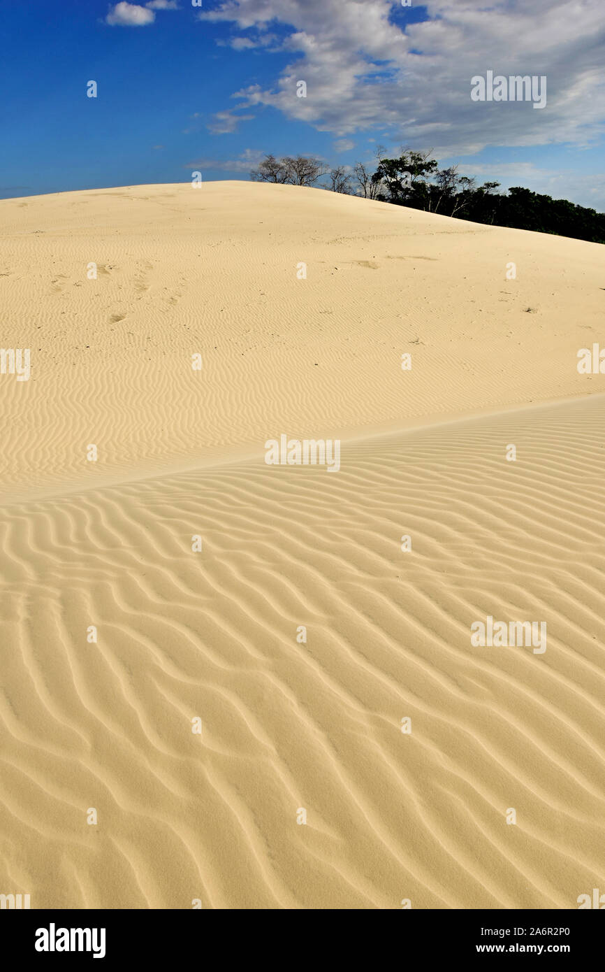 Dunas maranhenses hi-res stock photography and images - Alamy