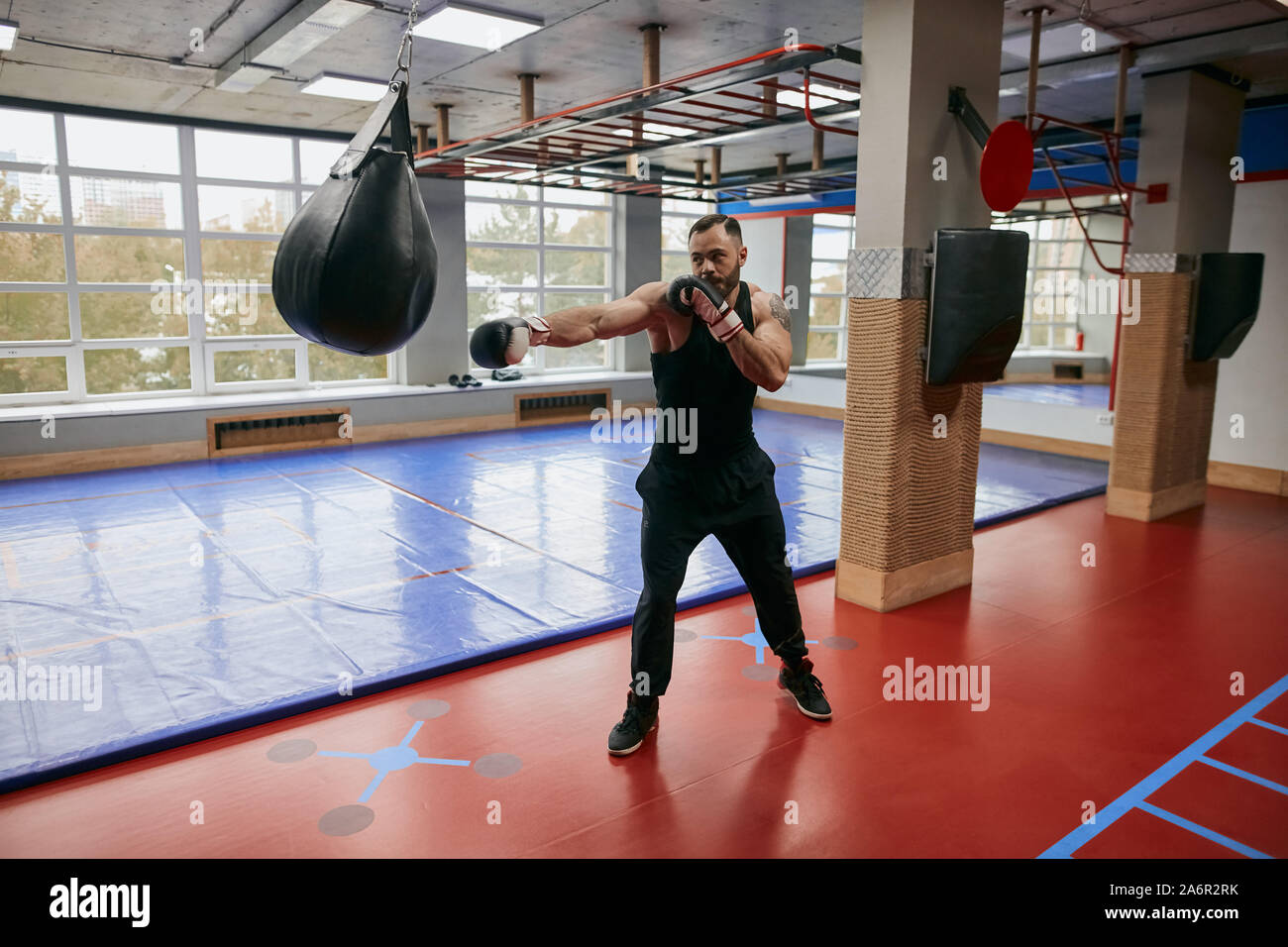talented hardworking strong boxer working out at sport center, full ...