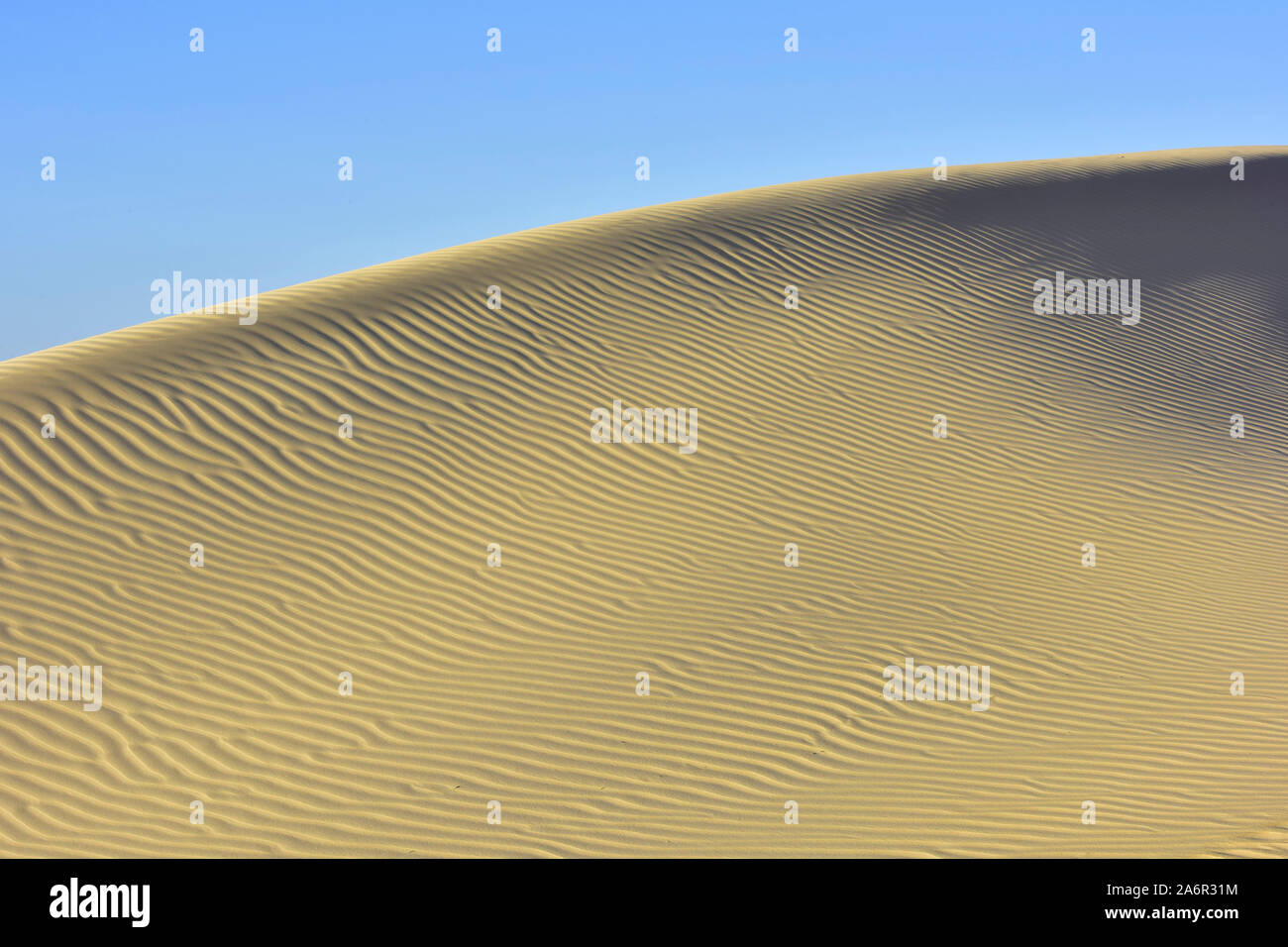 South America, Brazil, Lençóis Maranhenses Stock Photo - Alamy