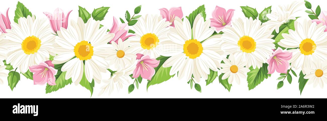 Vector horizontal seamless background with white daisies and pink ...