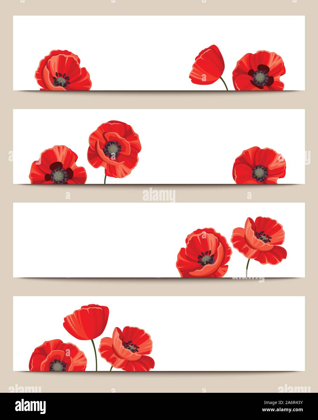 Four petal poppies hi-res stock photography and images - Alamy