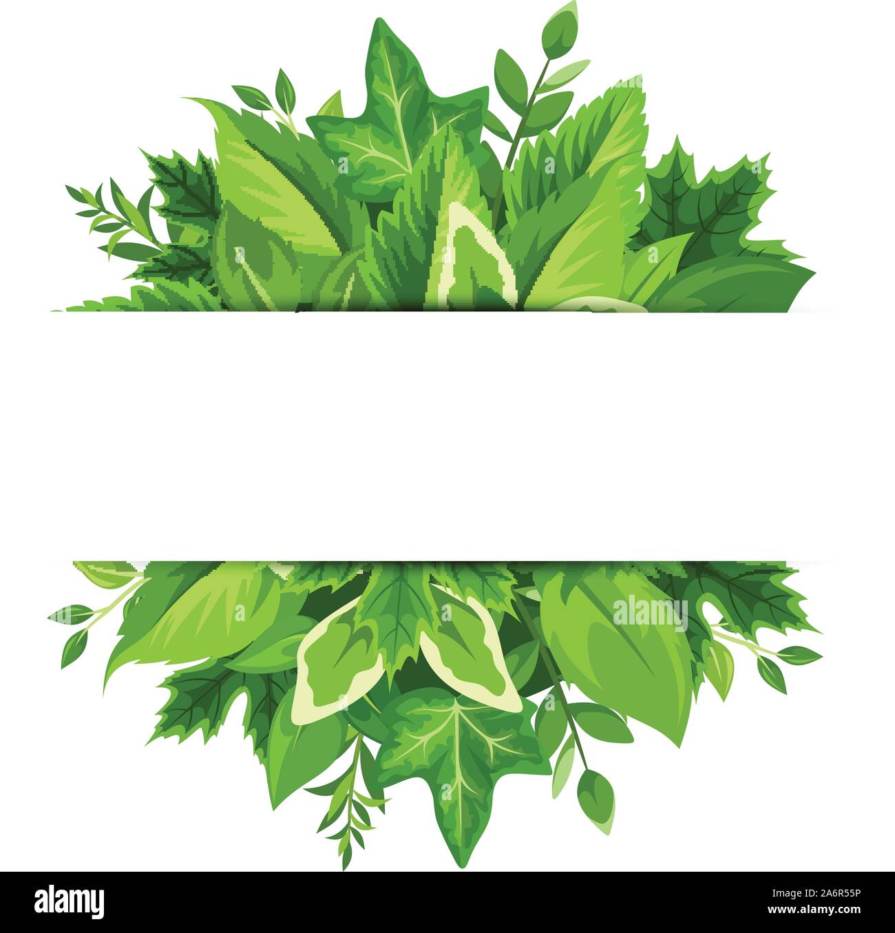 Vector background banner with green leaves Stock Vector Image & Art - Alamy