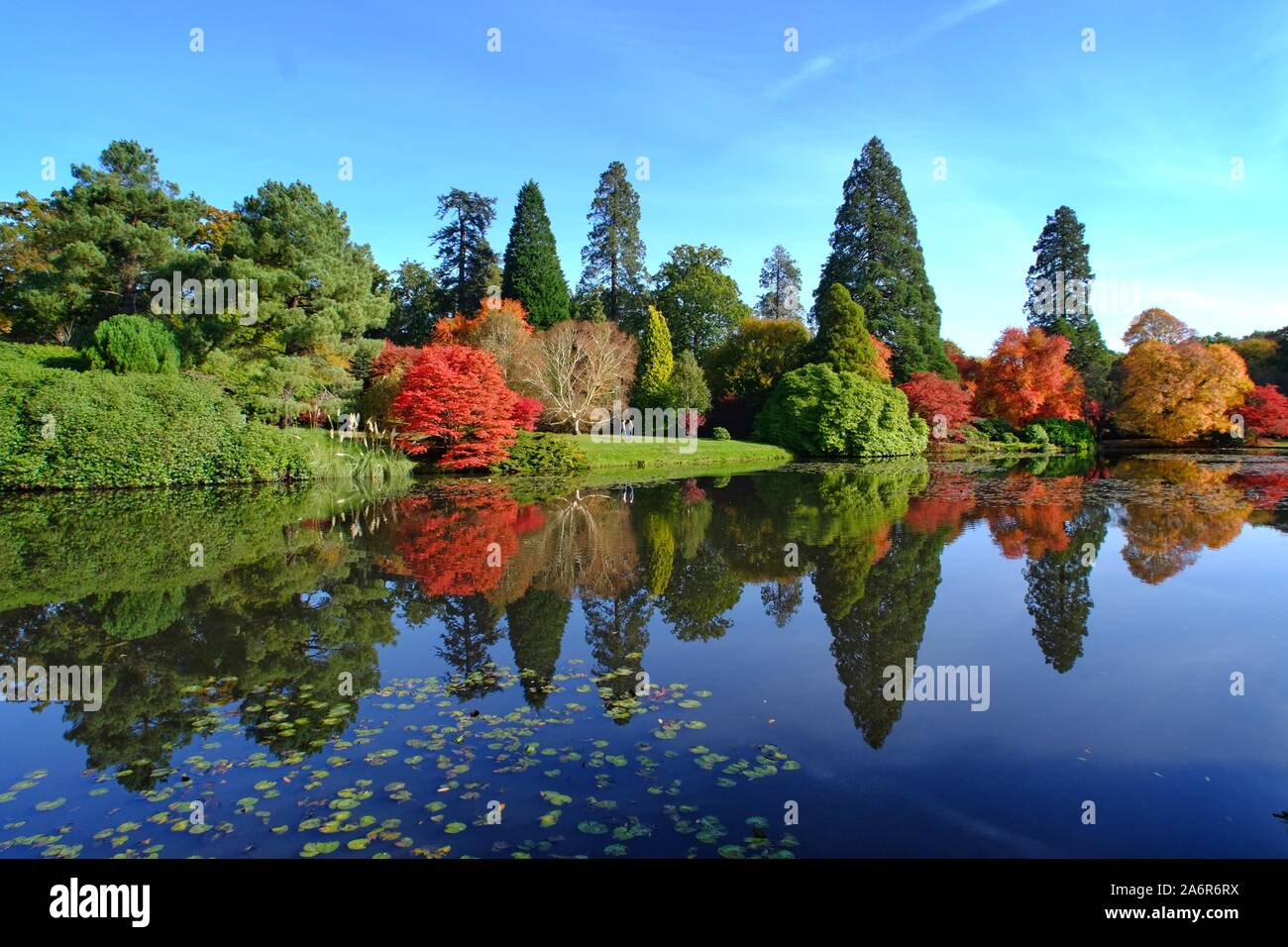 Sheffield Park, East Sussex, UK. 28th October 2019. Reflections of ...