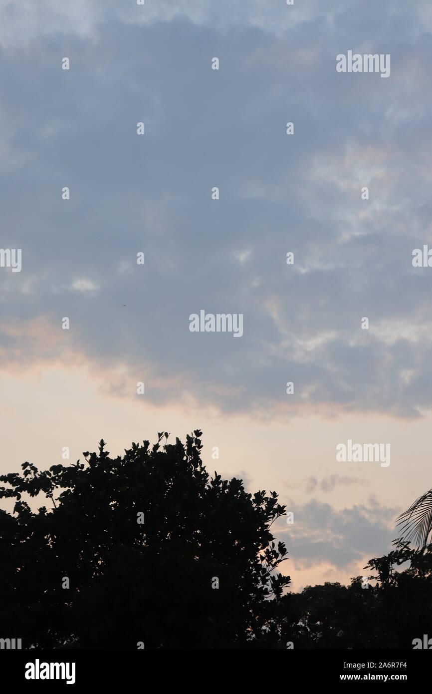 Cloudy sky. Blue sky on cloudy day with tree Stock Photo - Alamy