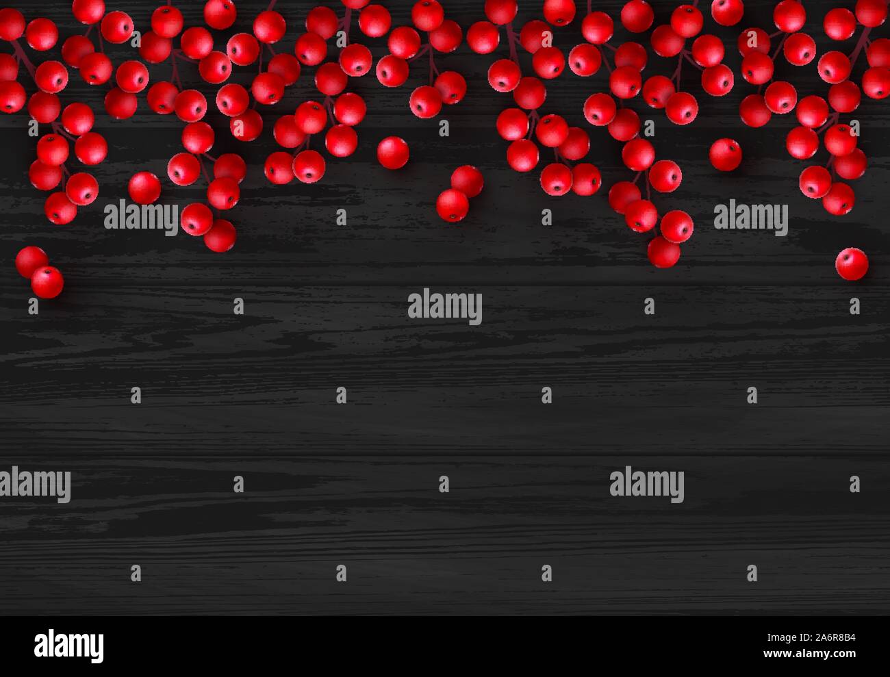 Cranberry on black background Stock Vector Images - Alamy