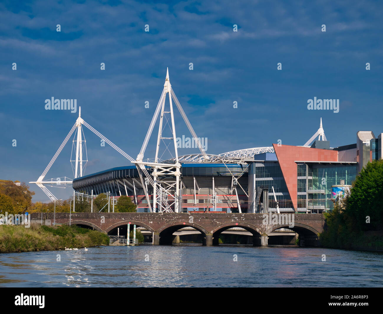 Cardiff arms park hi-res stock photography and images - Alamy