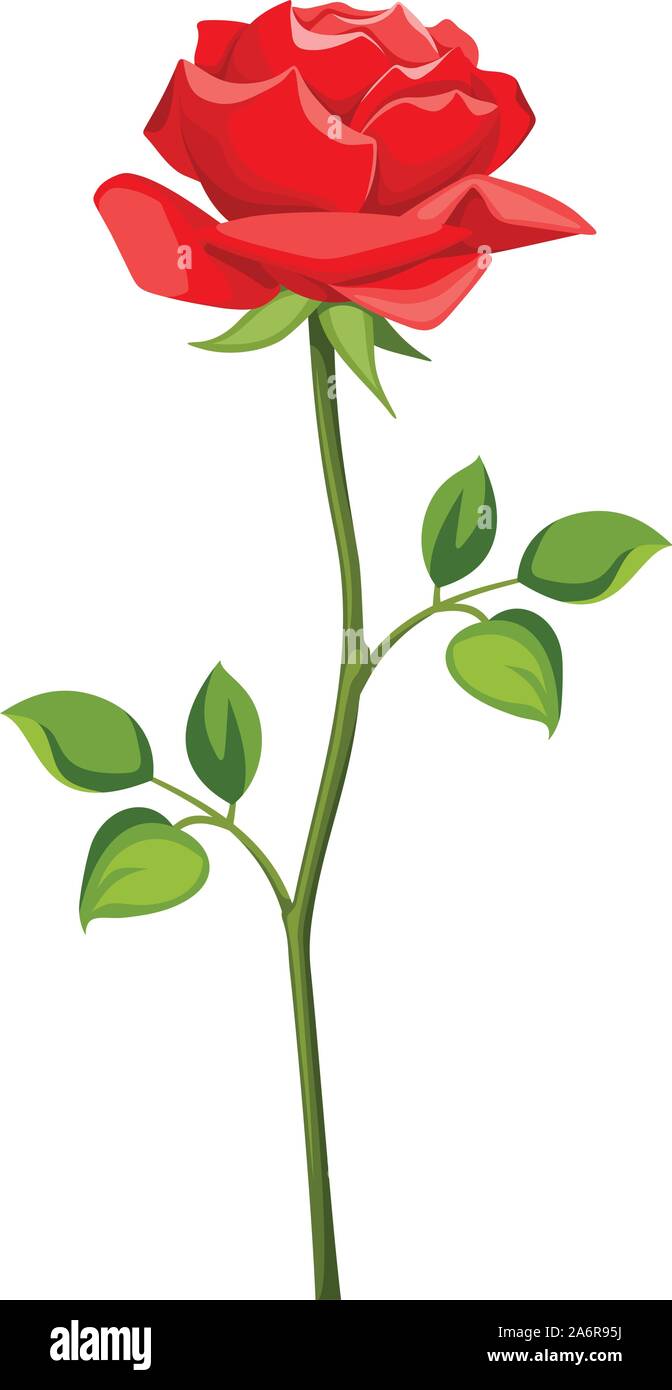 Vector red rose with stem isolated on a white background Stock Vector ...