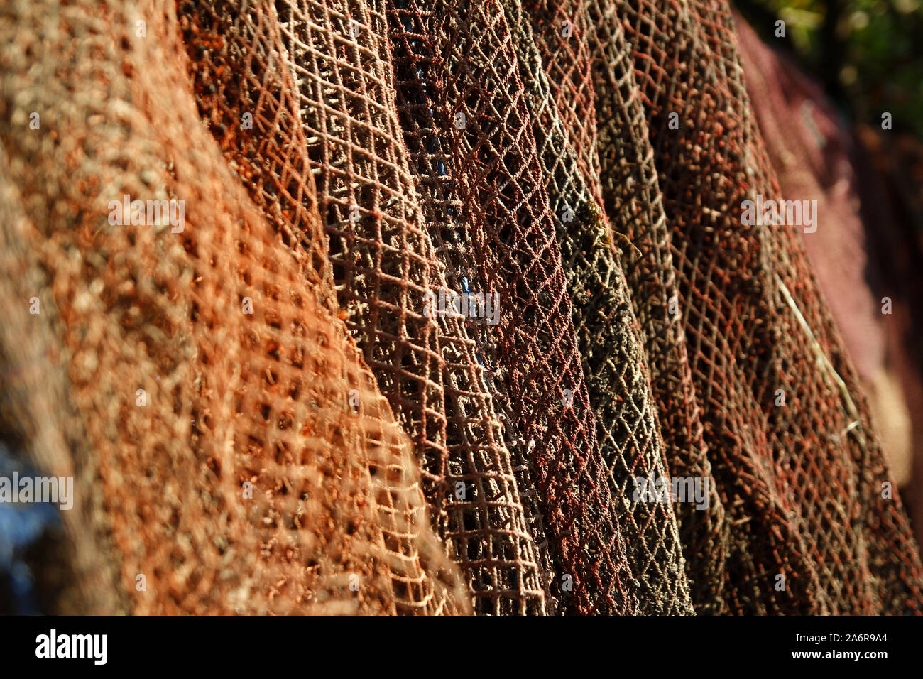Photo of fish net hanging and being dried Stock Photo - Alamy