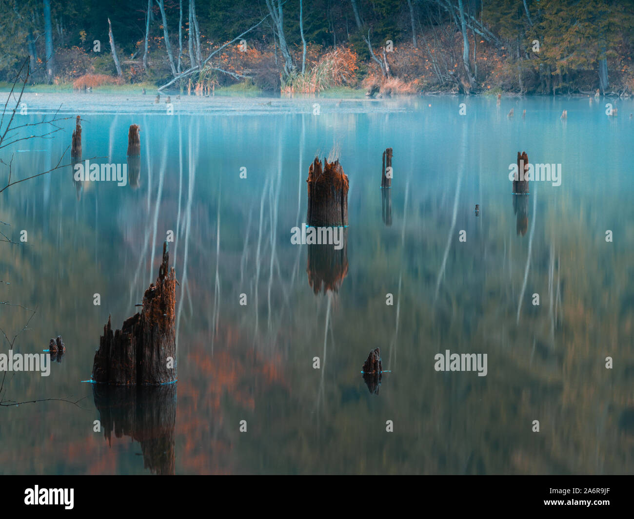 Peak of fall trees and their reflection on lake hi-res stock ...