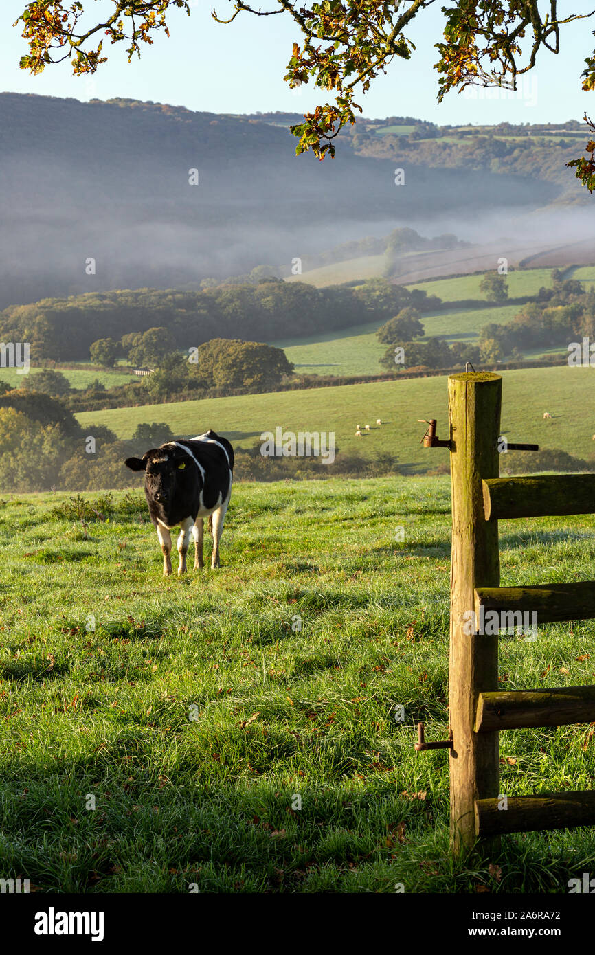 English field at union park hi-res stock photography and images - Alamy