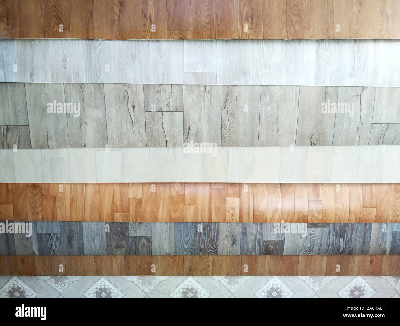 Sale of linoleum on the floor in a hardware store, a large selection ...