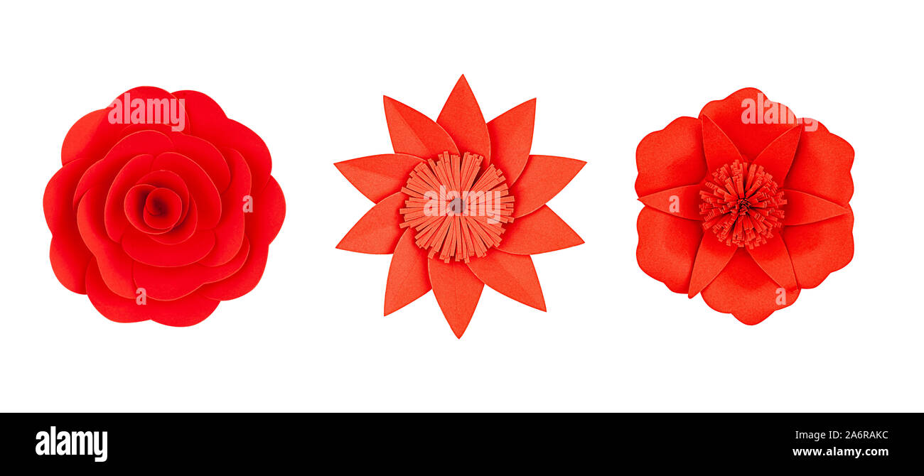 Set red paper flower handmade, top view, isolated Stock Photo - Alamy