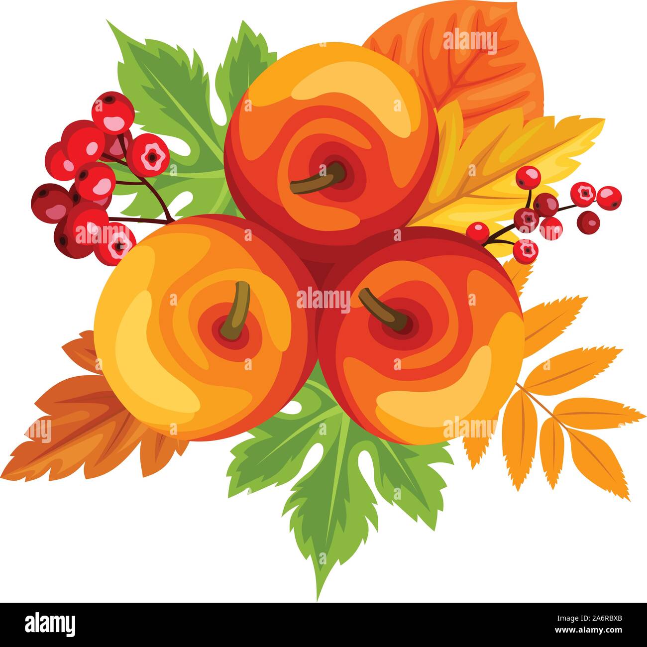 Vector colorful autumn apples and leaves isolated on a white background ...