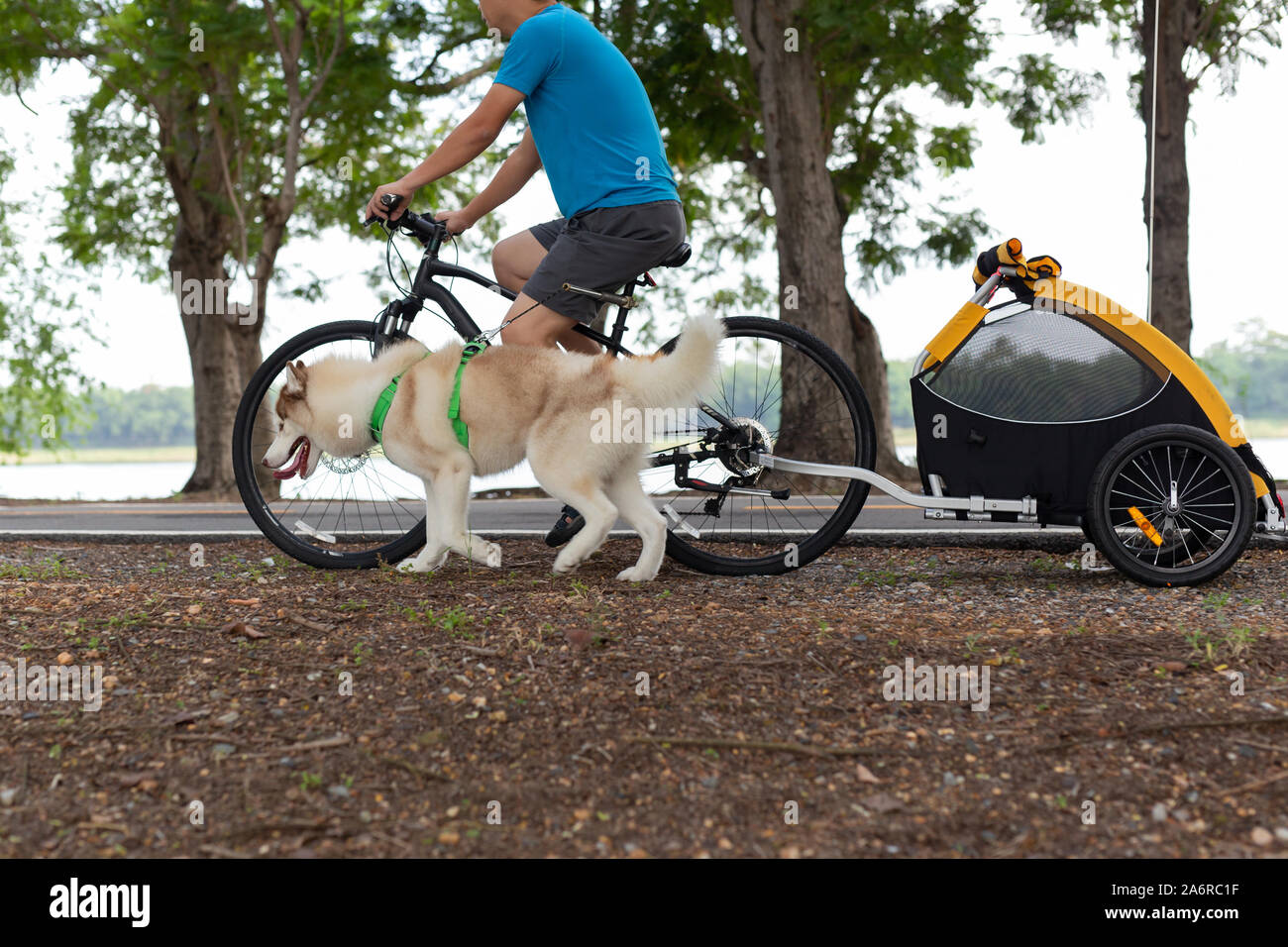 Woman riding bike with dog hi-res stock photography and images - Alamy