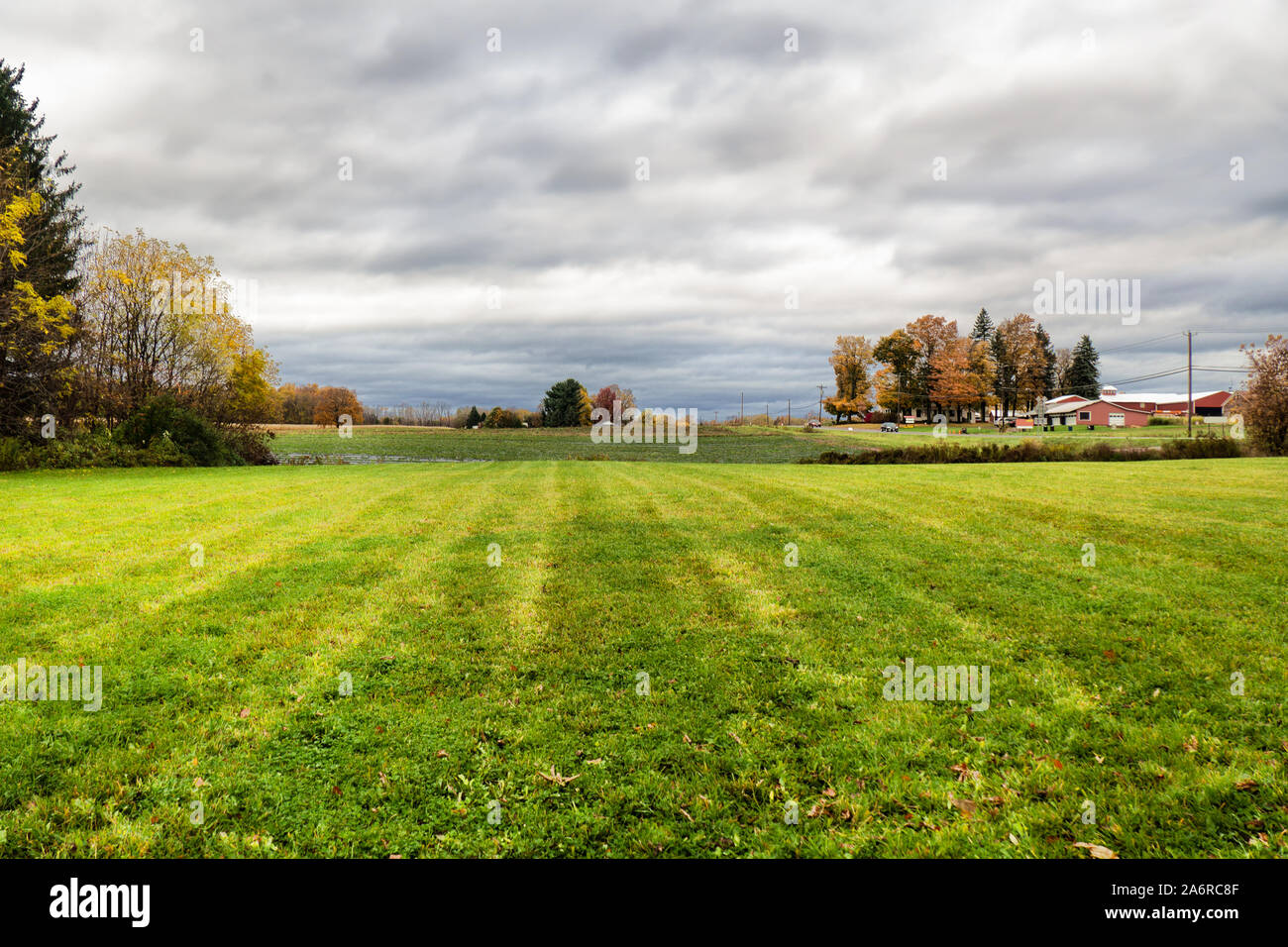 Land cleared for agriculture hi-res stock photography and images - Alamy