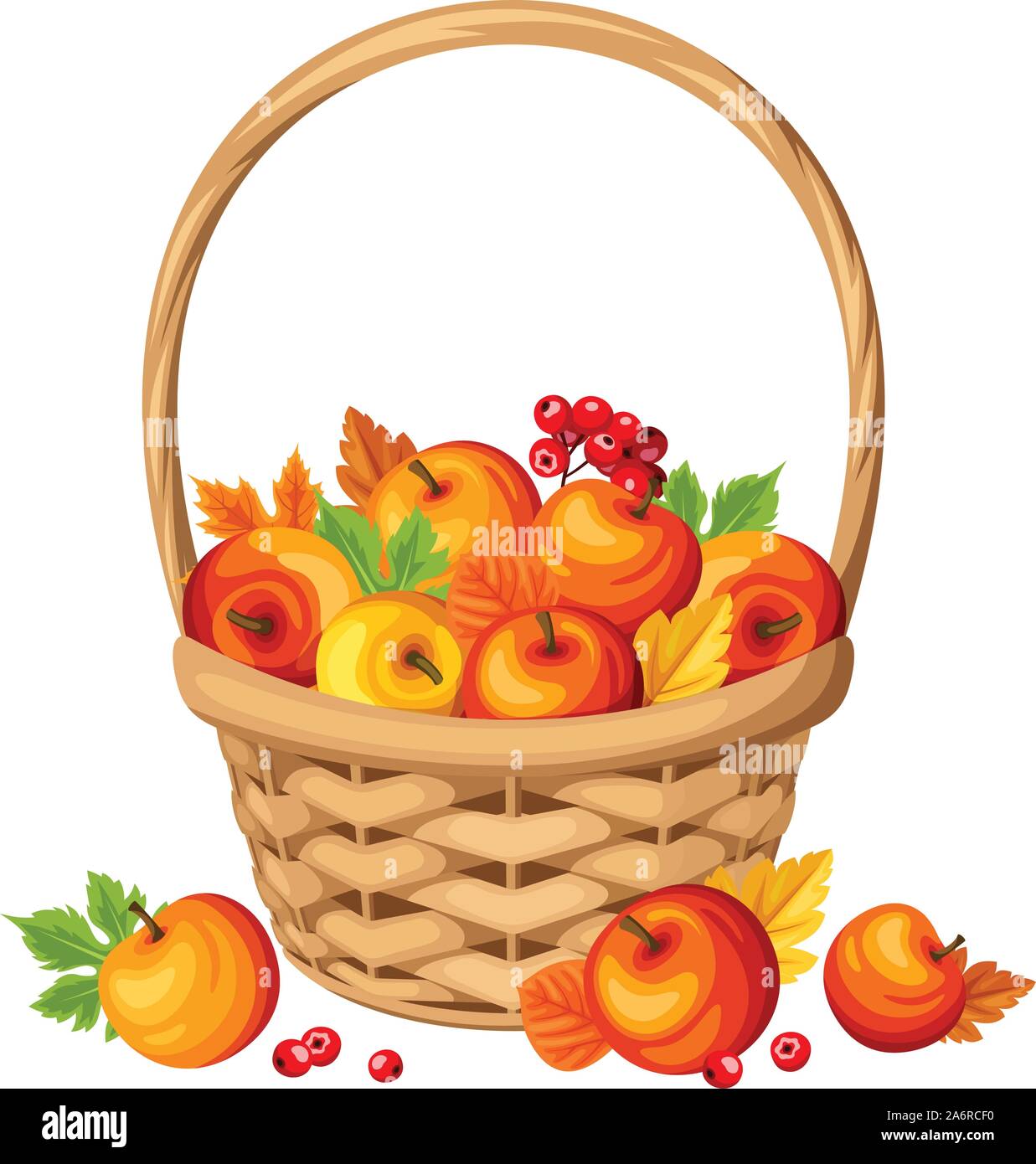 Vector basket with colorful autumn apples and leaves isolated on a ...