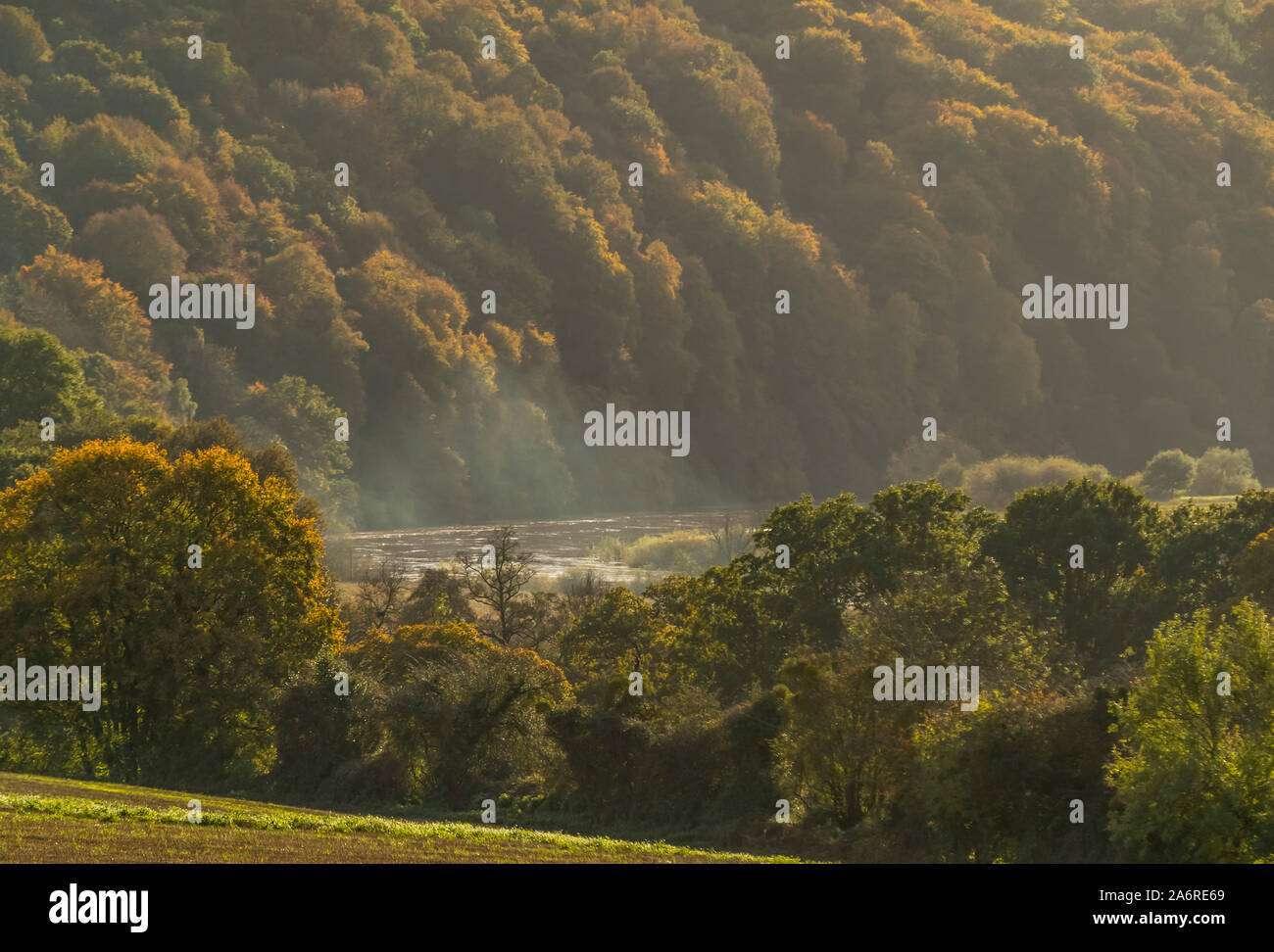 Autumn colours in the Wye Valley at Bigsweir Bridge. Wye Valley ...