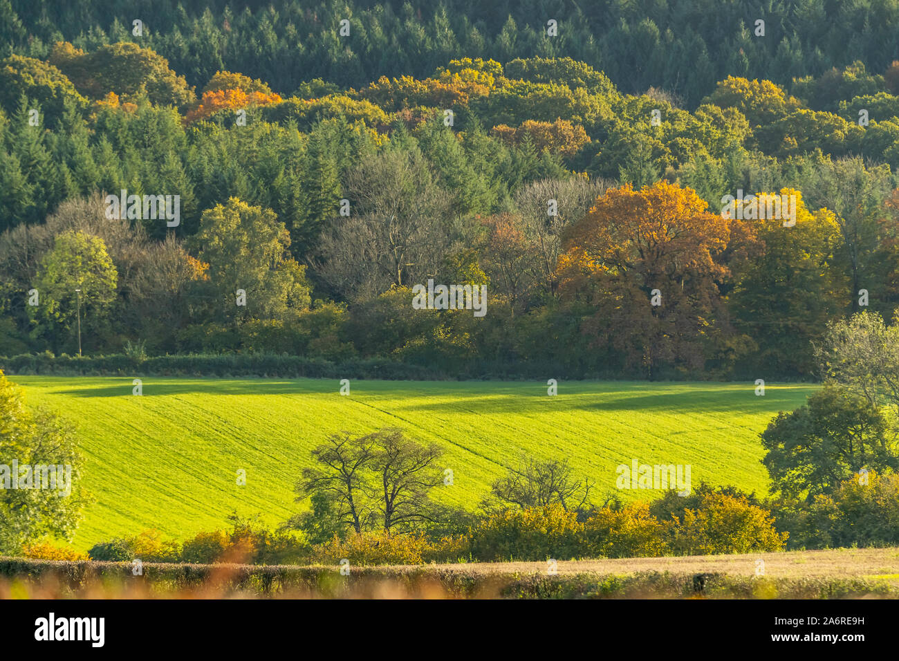 Autumn colours in the Wye Valley at Bigsweir Bridge. Wye Valley ...